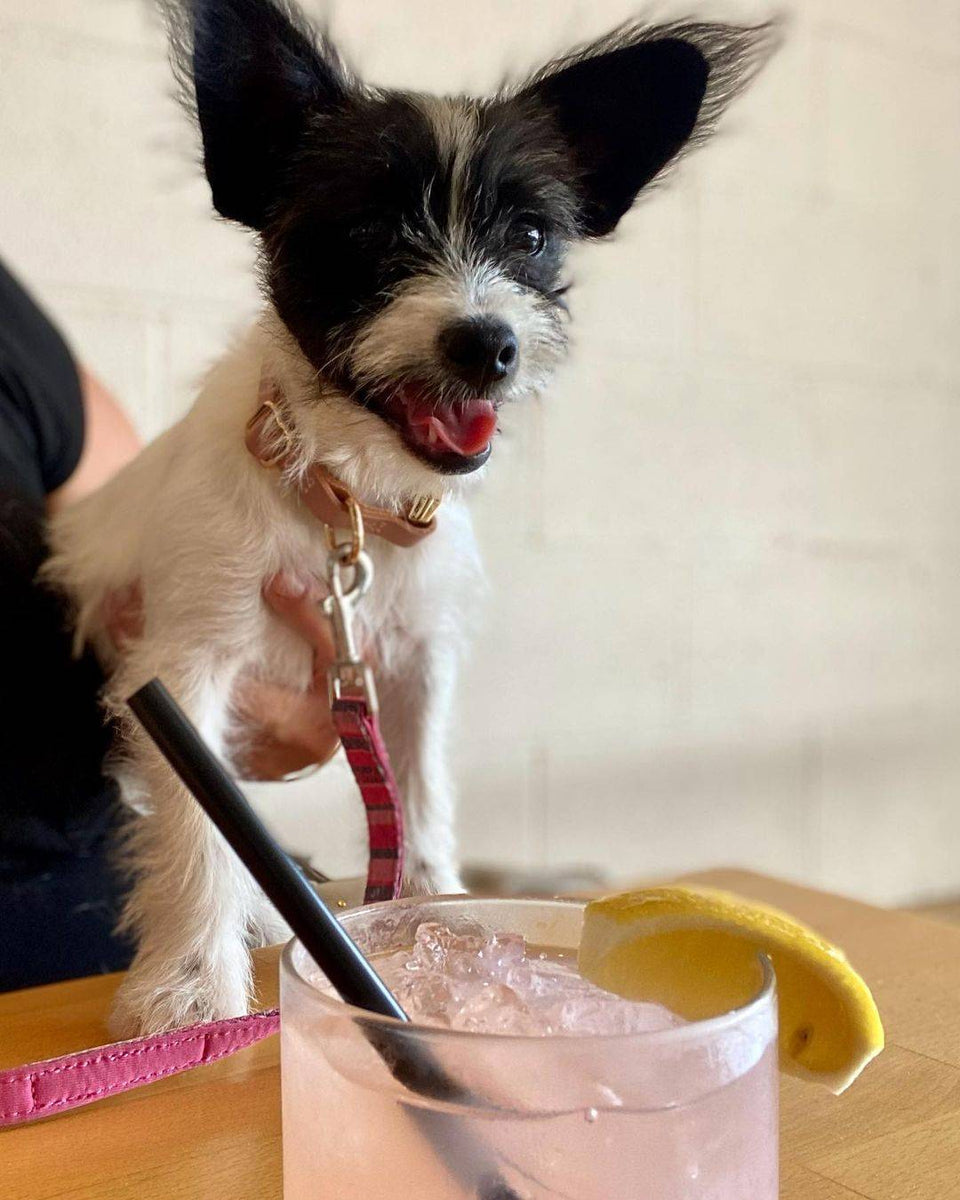 RICHARDSON – Lockwood Distilling Co